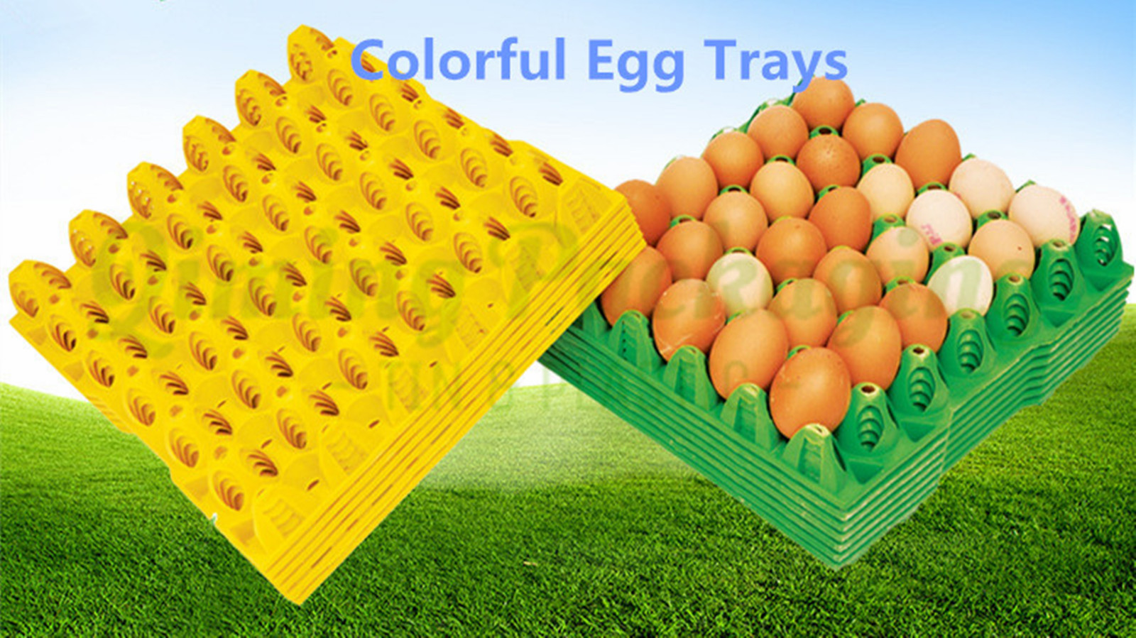 Colorful Egg Trays - Qiming Packaging