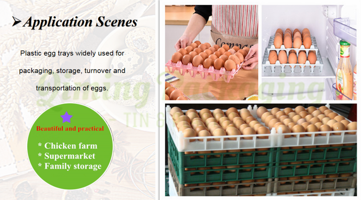 Colorful Egg Trays - Qiming Packaging