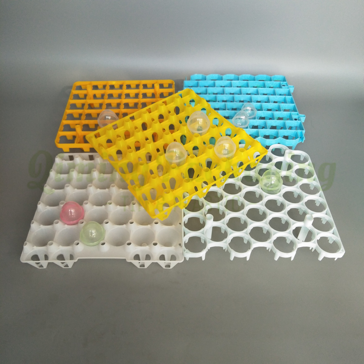 Colorful Egg Trays - Qiming Packaging