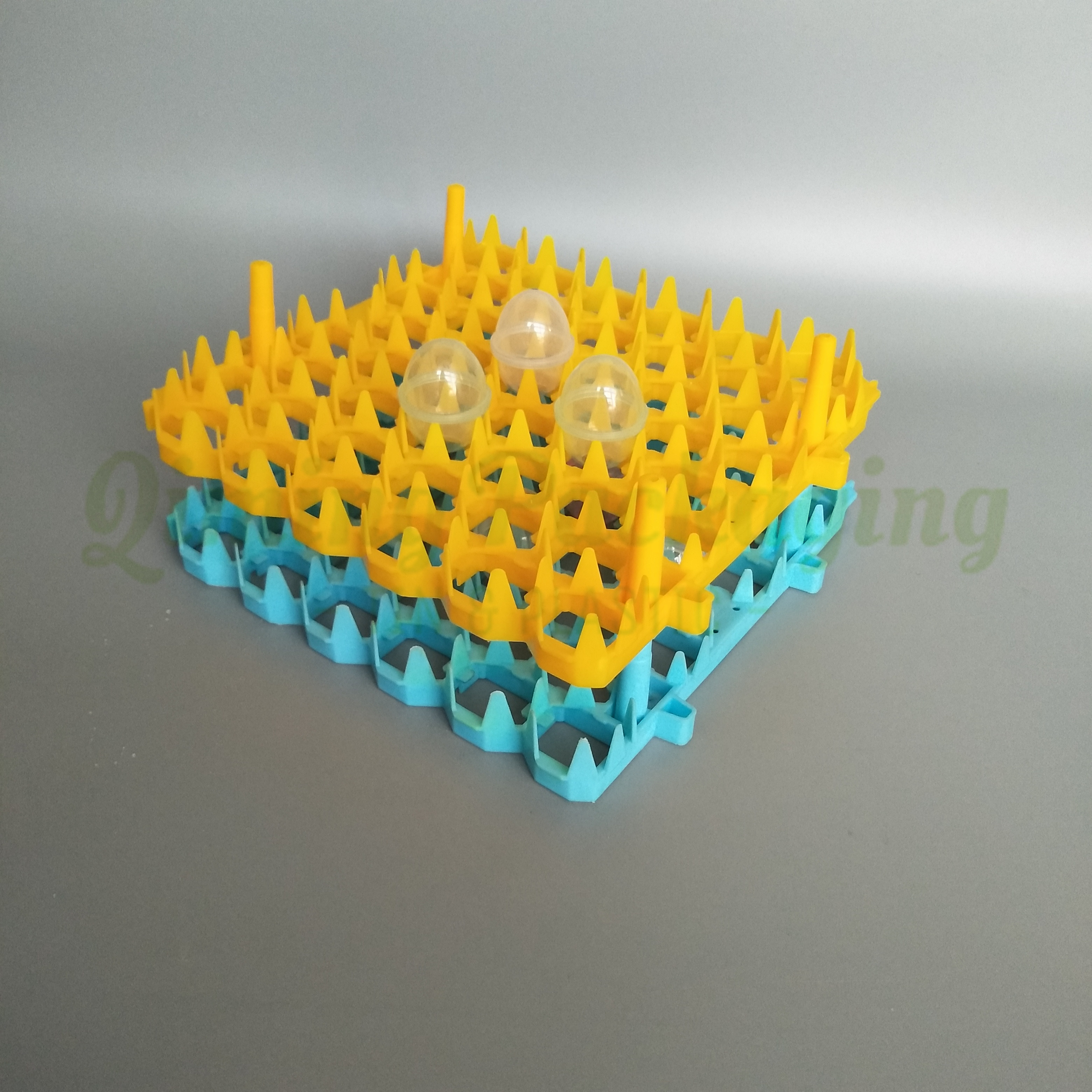 Colorful Egg Trays - Qiming Packaging