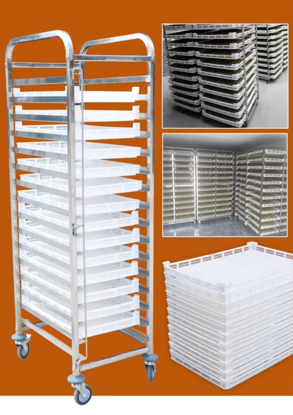 plastic drying trays factory，free sample，customized