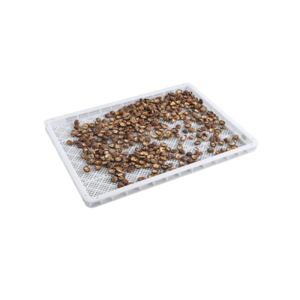 plastic drying trays factory，free sample，customized